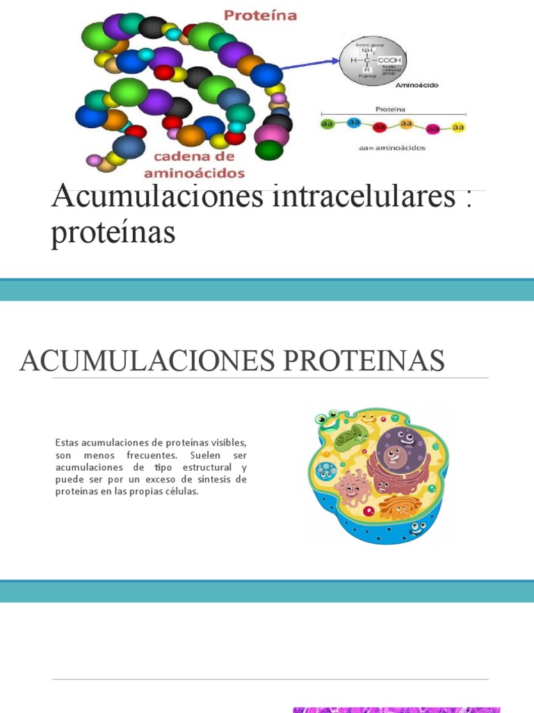 Acumulaciones Intracelulares | PDF