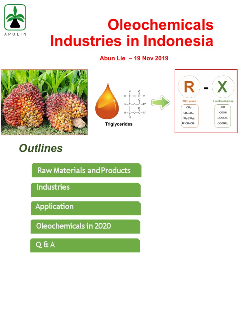 Oleochemicals Industries in Indonesia | PDF | Triglyceride | Detergent