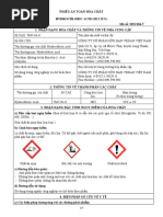 Msds Javel | PDF