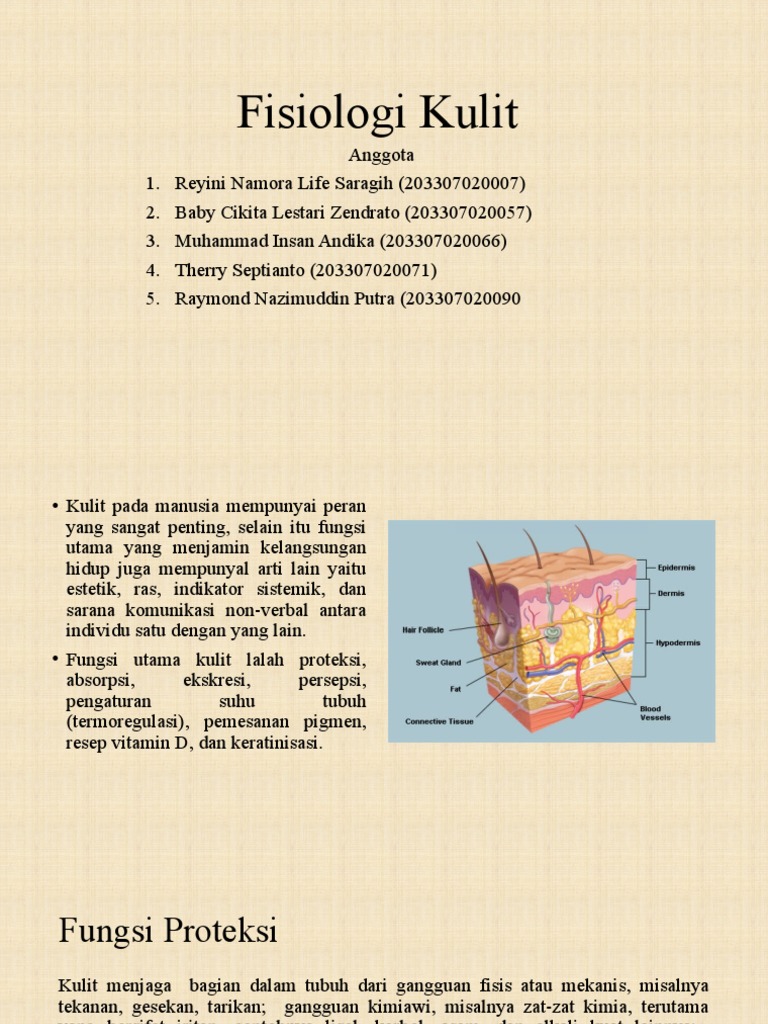 Fisiologi Kulit | PDF