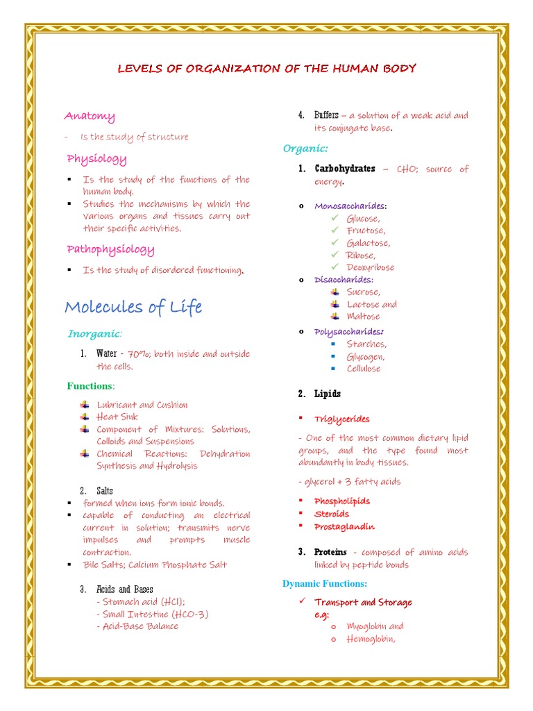 Levels of Organization of The Human Body | PDF | Nucleotides | Nucleic ...