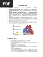 27.-Defecto Del Tabique Auricular y Ventricular | PDF | Corazón ...