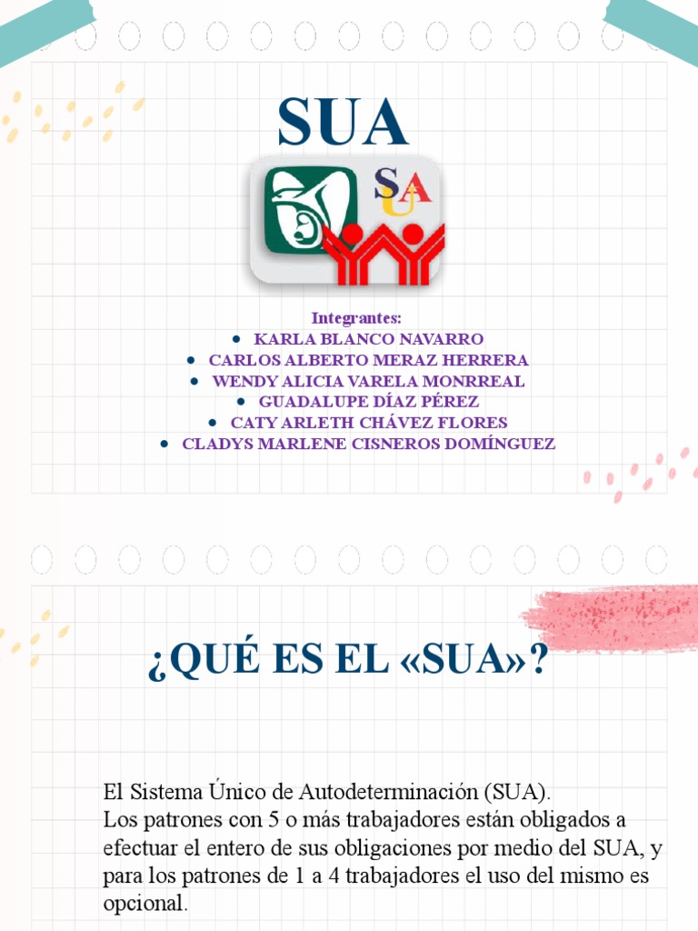 SUA Exposicion | PDF | Informática