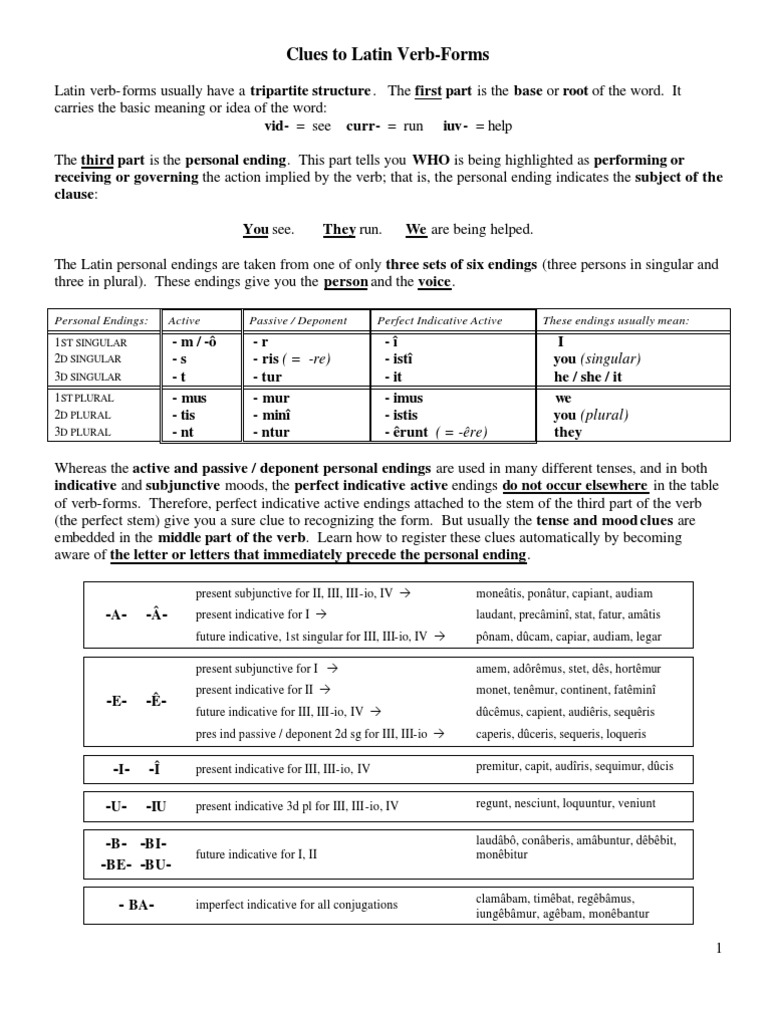 Latin Verb-Forms Explained | PDF | Linguistic Typology | Cognitive Science