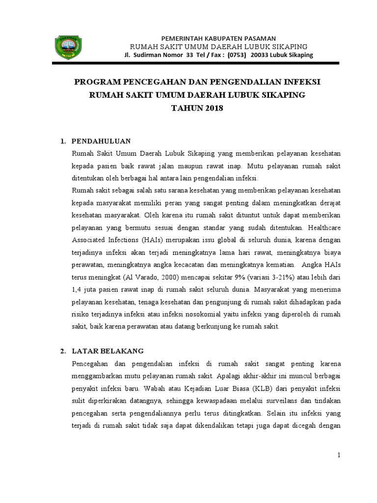 Program Besar PPI 2018 RSUD LUBUK SIKAPING | PDF