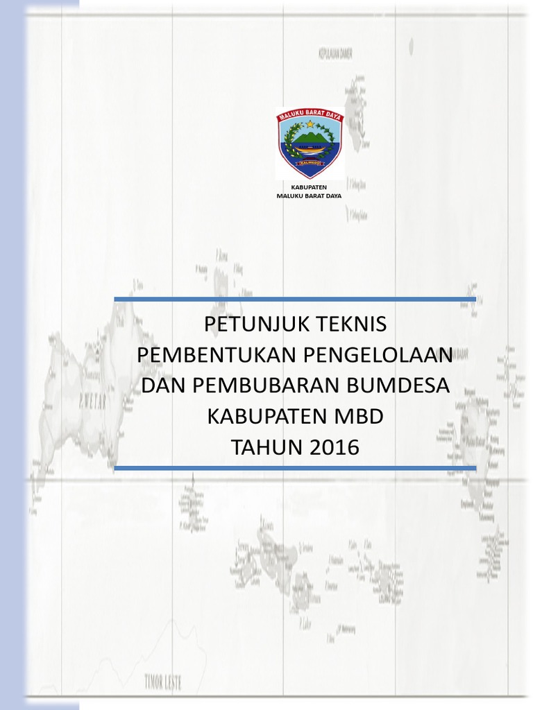 Juknis Bumdesa | PDF