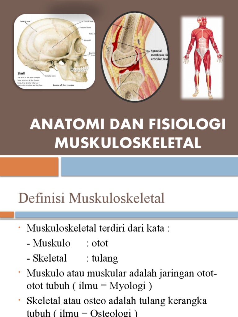 Anatomis dan Fisiologi Sistem Muskuloskeletal | PDF