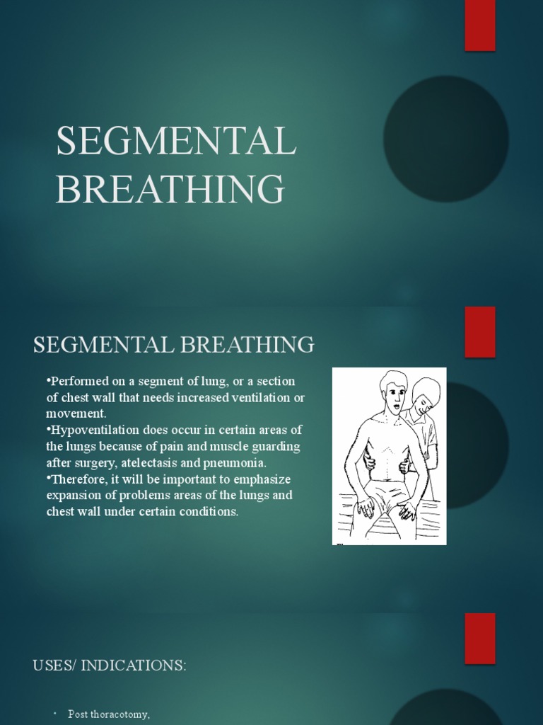 Improve Lung Health with Segmental Breathing Techniques | PDF | Thorax ...