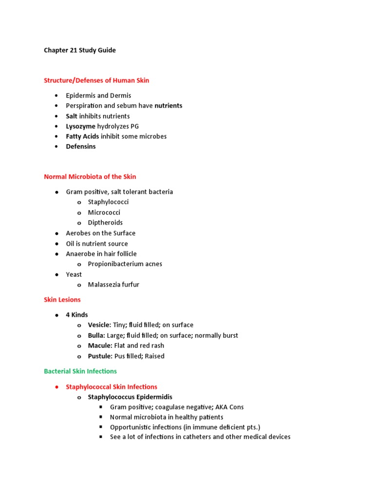 Chapter 21 Study Guide | PDF | Staphylococcus | Infection
