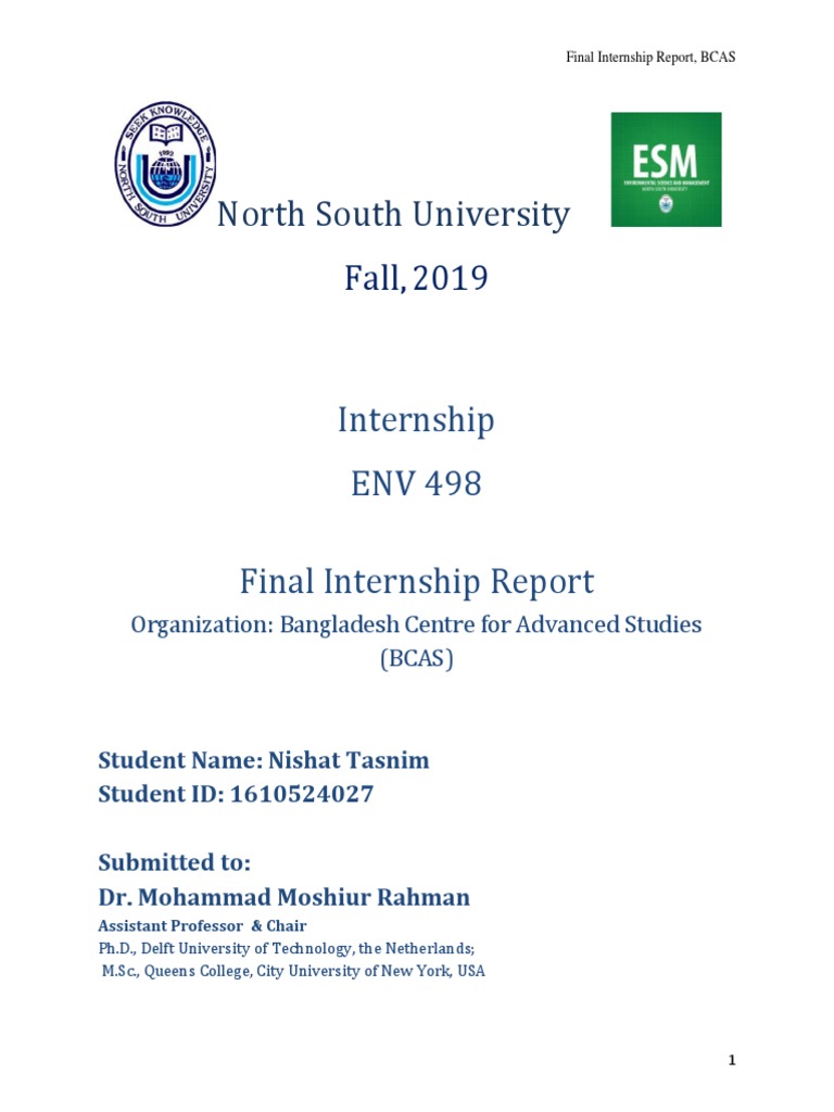 Final Internship Report Nishat PDF | PDF | Internship | Job Hunting
