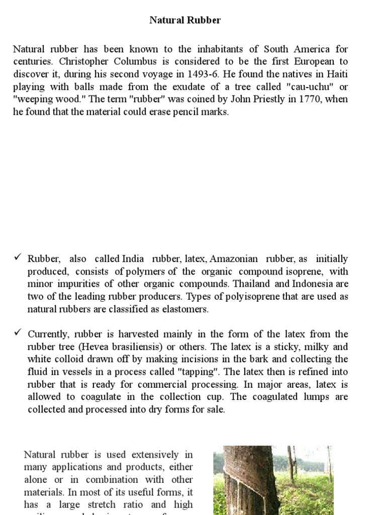 Natural and Synthetic Rubbers | PDF | Natural Rubber | Polymers