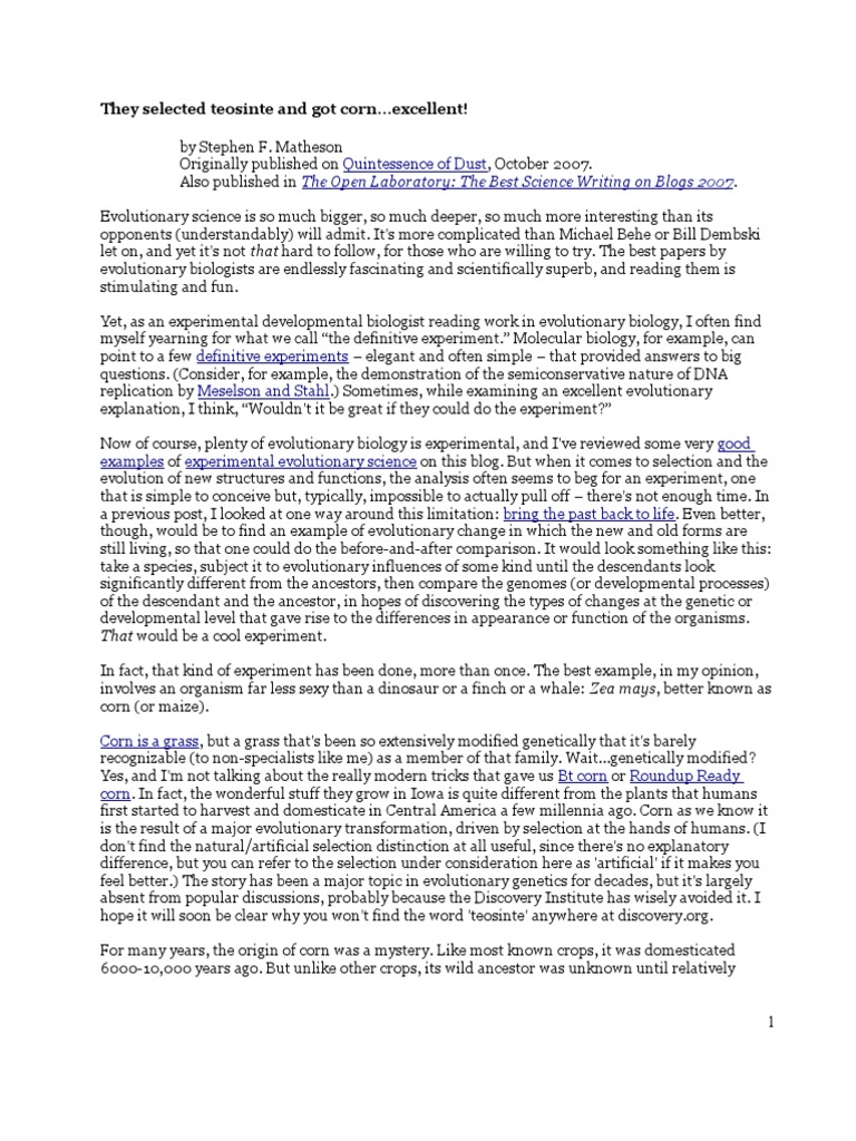 Teosinte, Corn, and Evolution | Download Free PDF | Evolution | Mutation