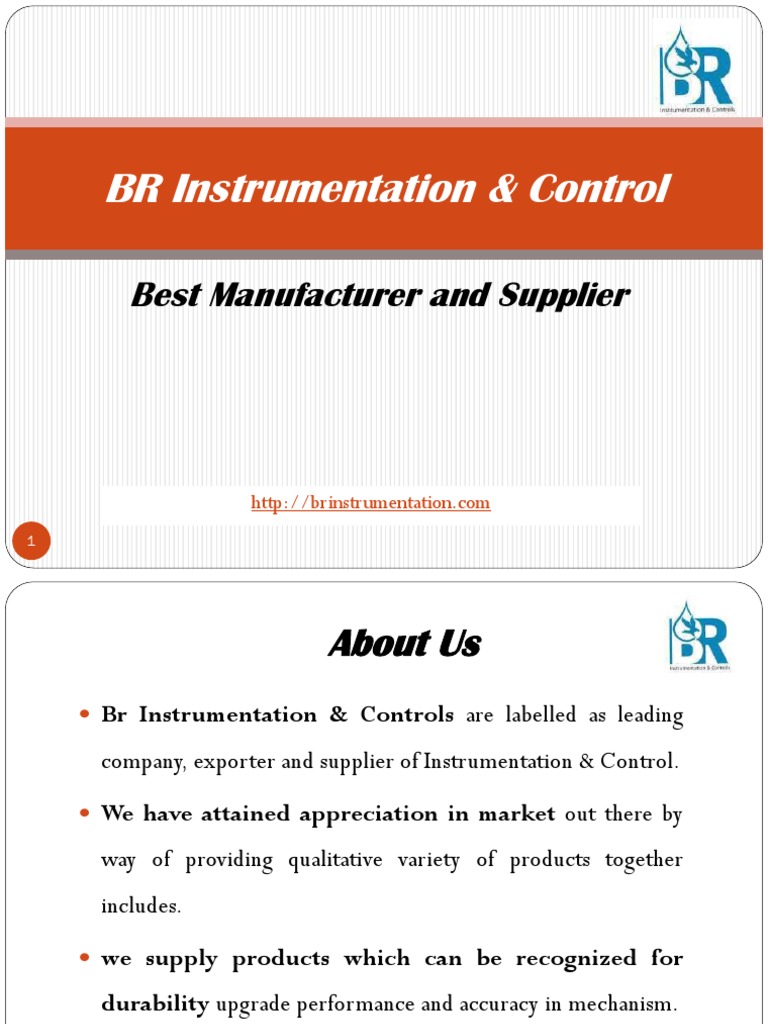 BR Instrumentation & Control | PDF