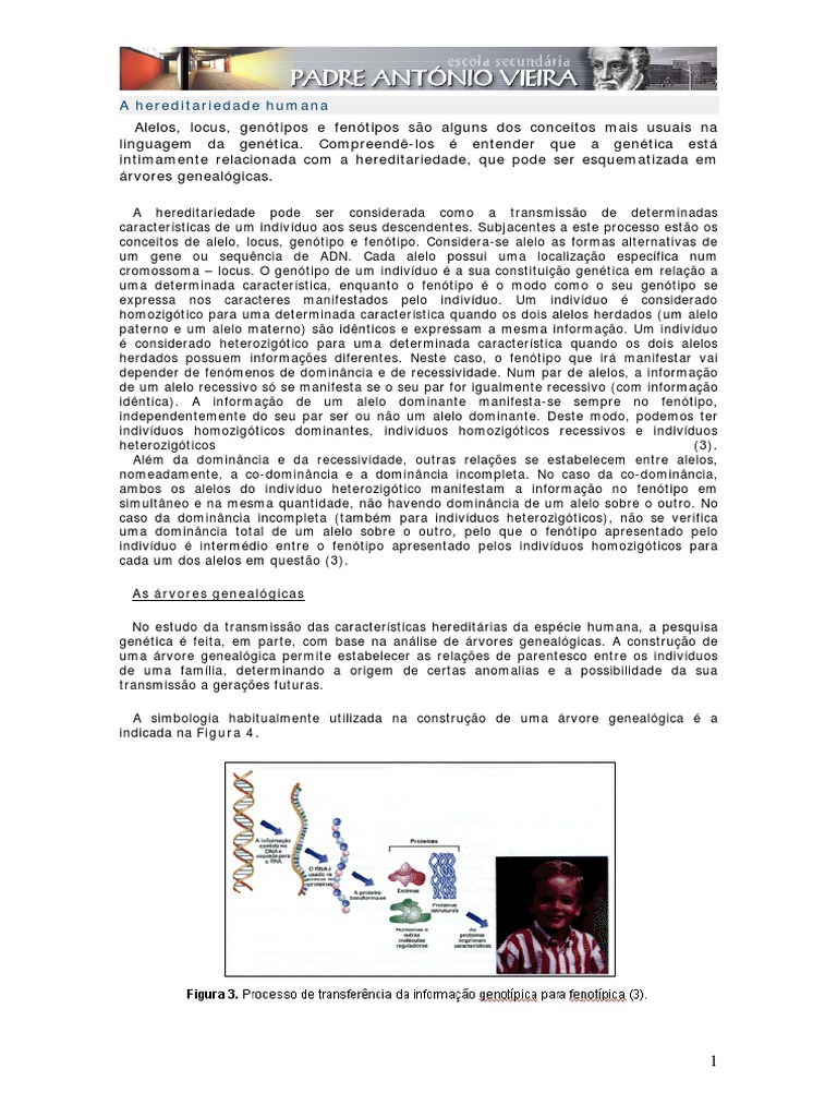 Entendendo a Hereditariedade Humana | PDF | Alelo | Dominância (genética)