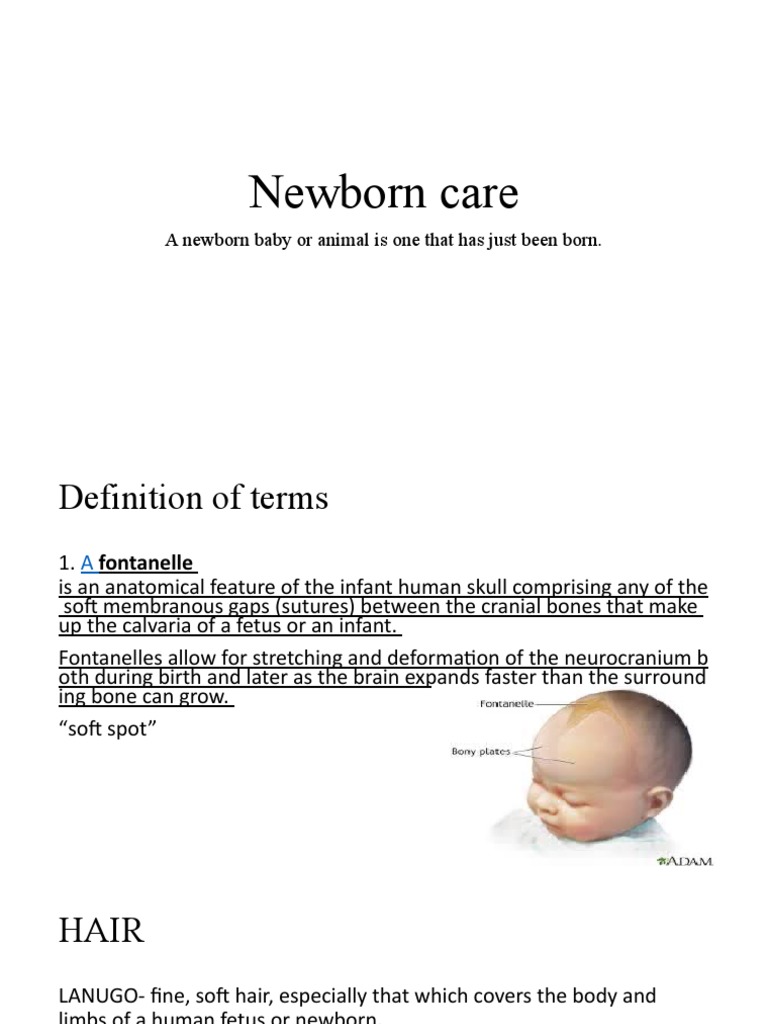 Newborn Care: A Newborn Baby or Animal Is One That Has Just Been Born ...