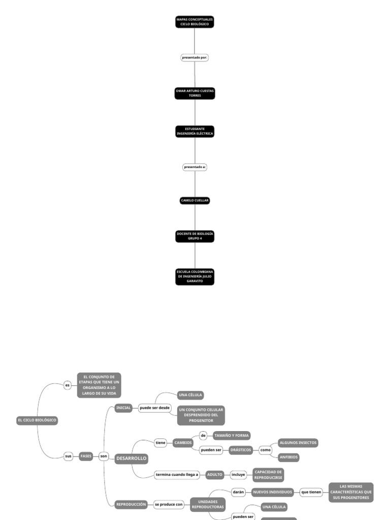 Mapas Conceptuales Ciclo Biológico Completo | PDF | Mitosis | Mitosis
