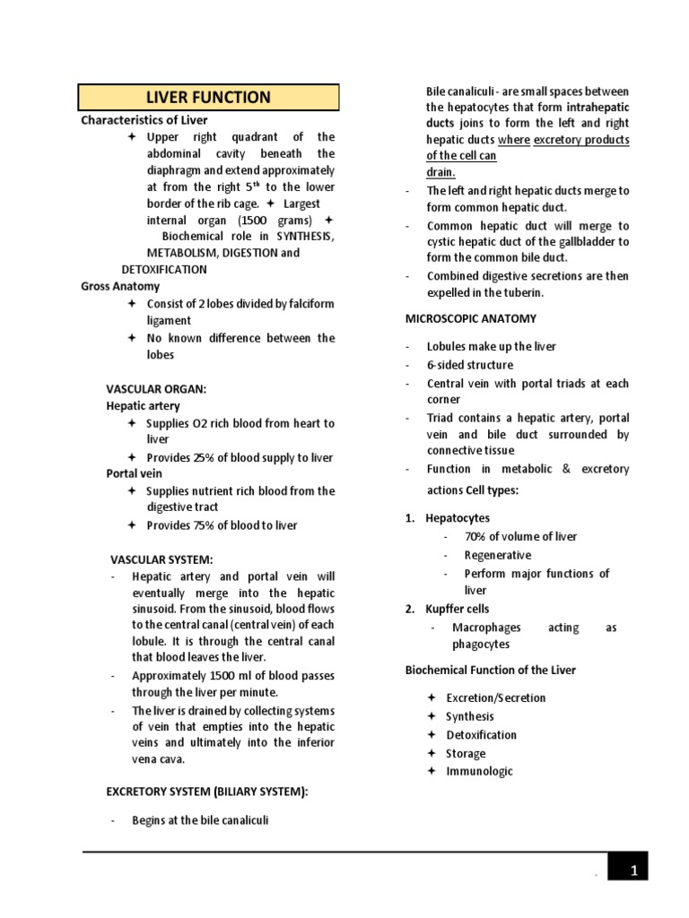 Liver Function (Clinical Chemistry) | PDF | Liver | Hepatitis