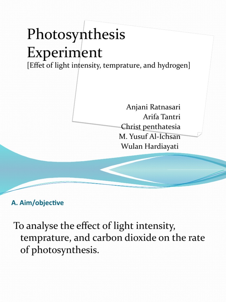 Photosynthesis Experiment Analysis | PDF | Carbon Dioxide | Photosynthesis
