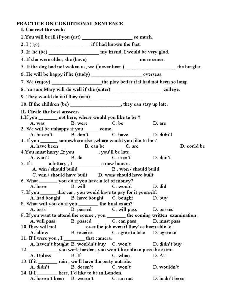 Practice On Conditional Sentence | PDF