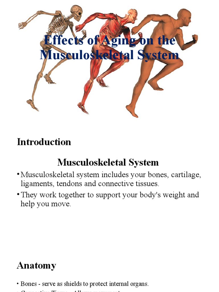 Effects of Physical Activity on the Aging Musculoskeletal System | PDF ...