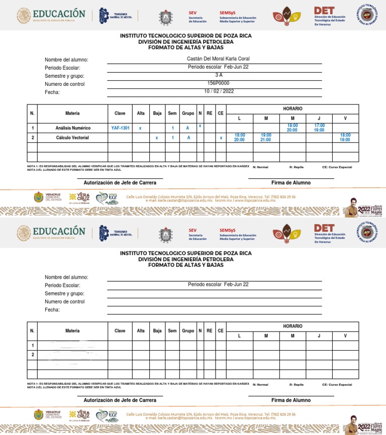 Formato de Altas y Bajas | PDF