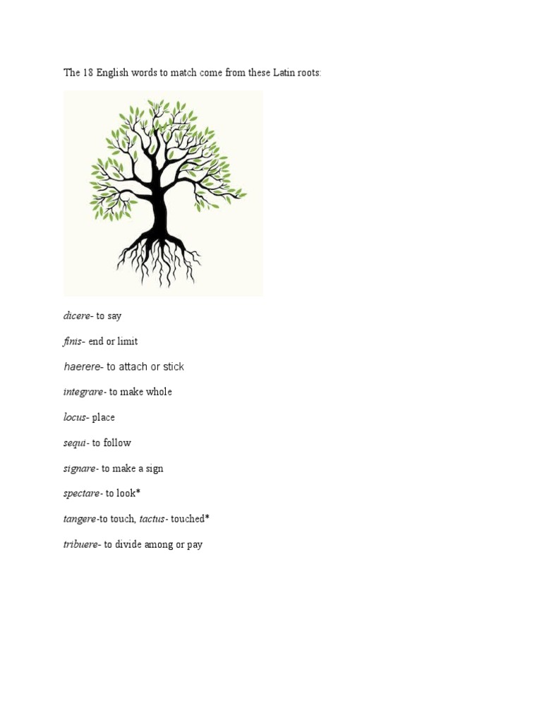 The 18 English Words To Match Come From These Latin Roots | PDF