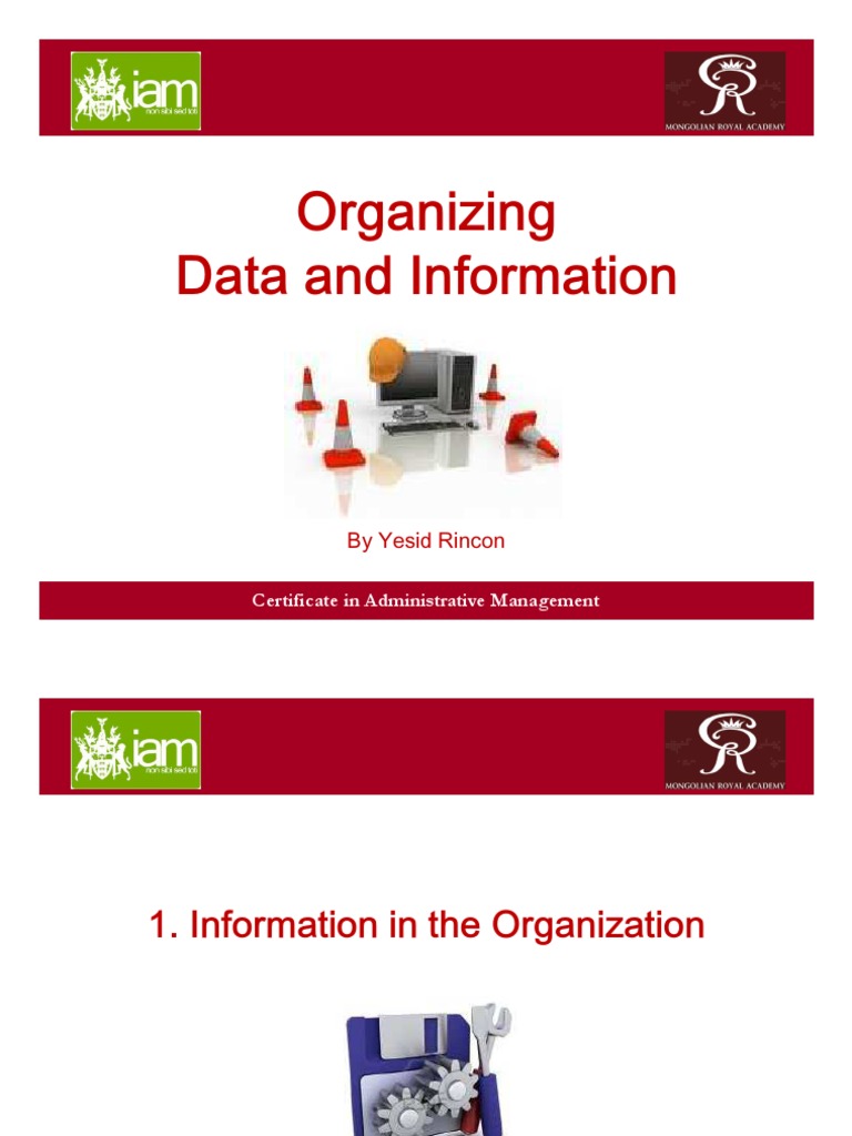 Organizing Data & Information 04 | PDF | Information Technology | Data ...