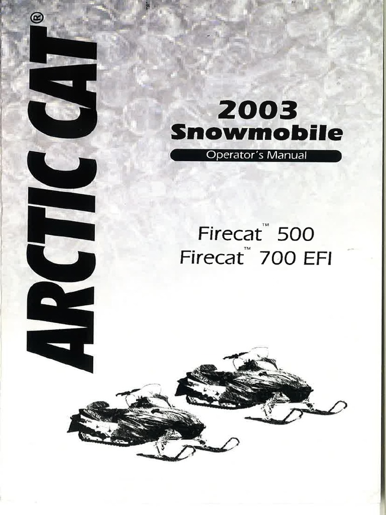 2003 Firecat 500 700 EFI | PDF | Belt (Mechanical) | Screw