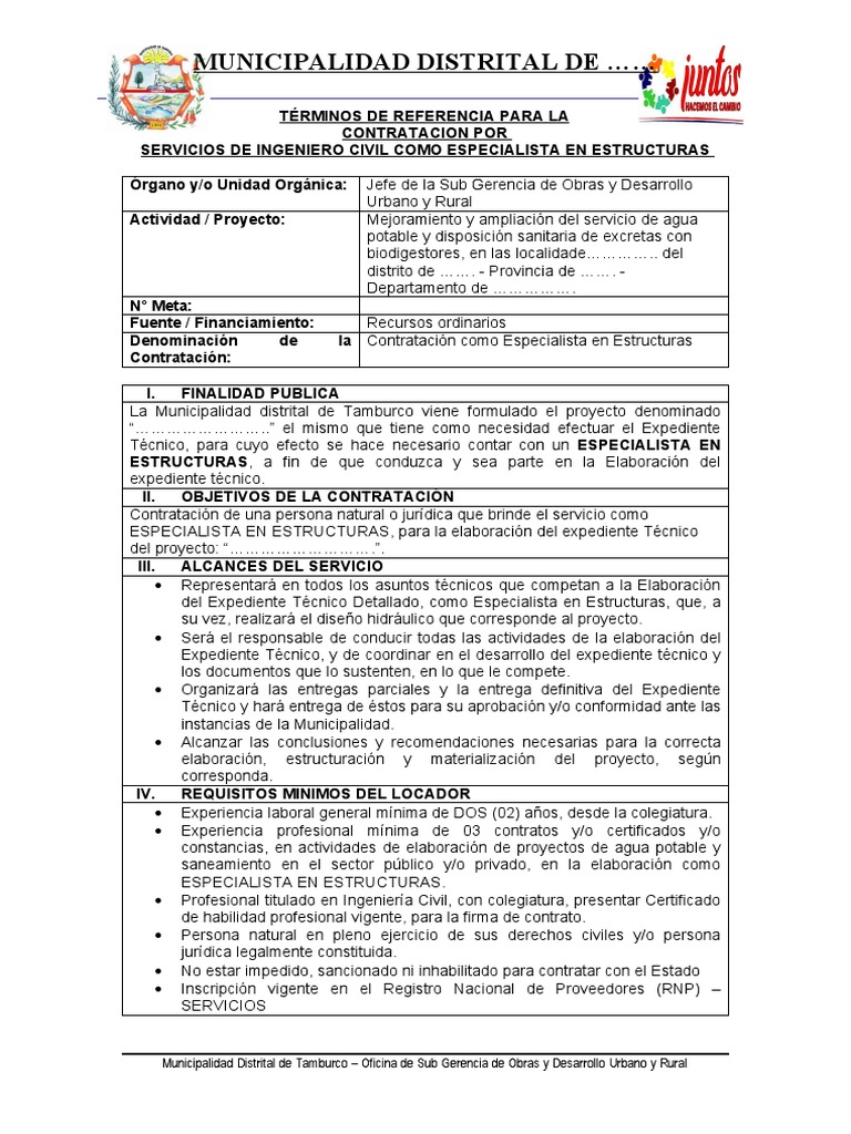 TDR en Formato Especialista en Estructuras en Saniamiento | PDF