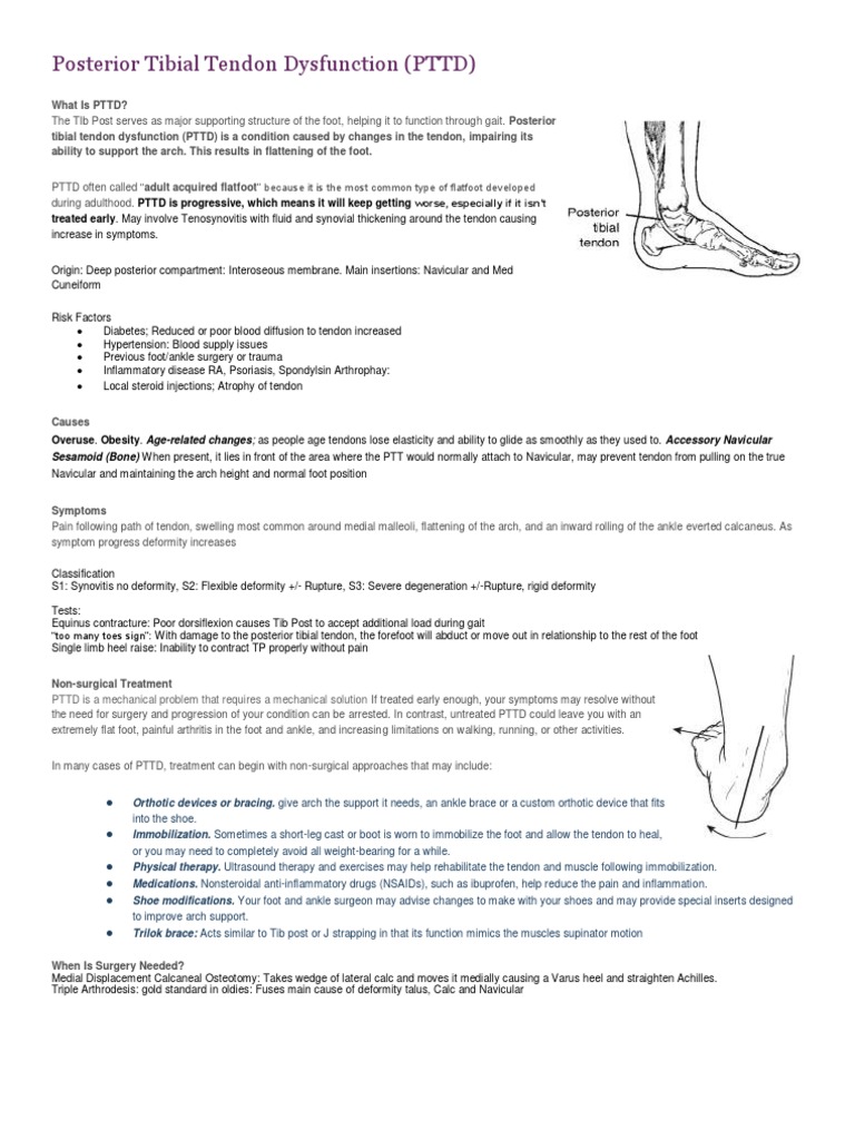 Understanding Posterior Tibial Tendon Dysfunction | PDF | Foot | Ankle