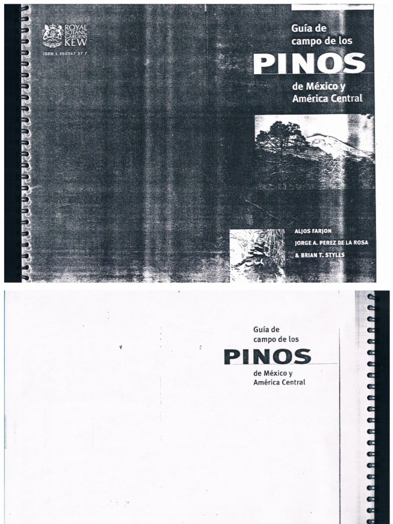 Guia de Campo de Los Pinos de Mexico y America Central | PDF