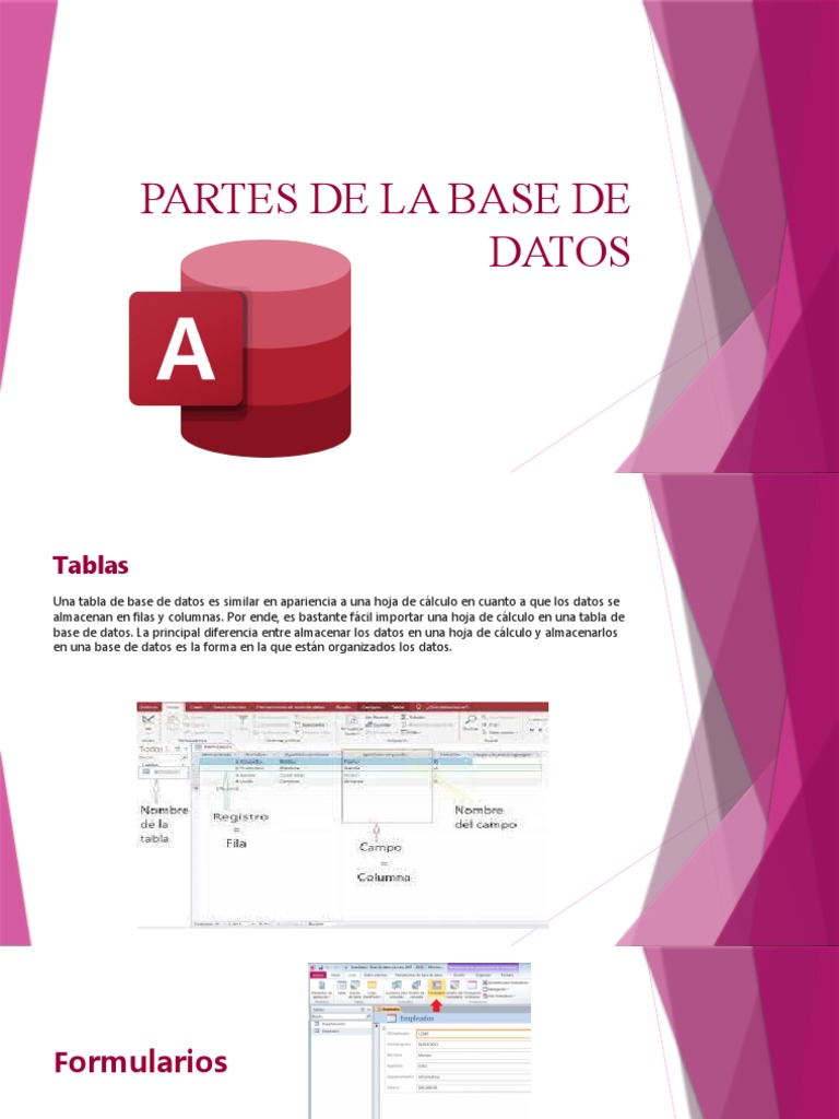 Las principales partes de una base de datos en Microsoft Access | PDF ...