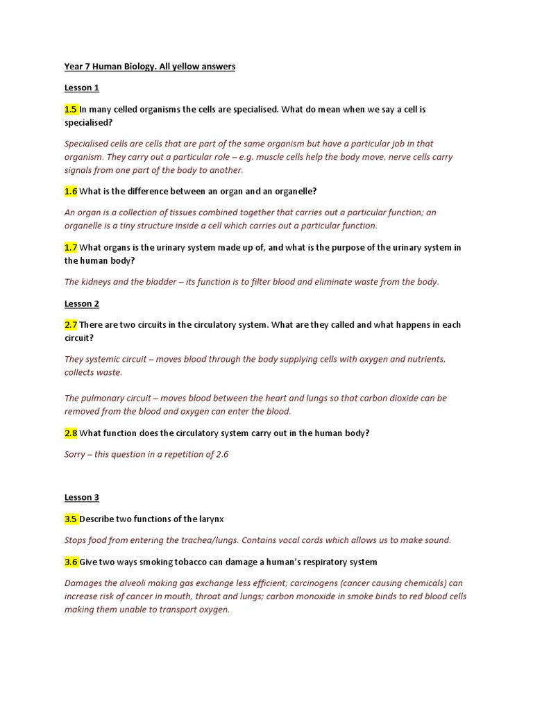 Year 7 Human Biology. All Yellow Answers Lesson 1 | PDF | Human Body | Lung