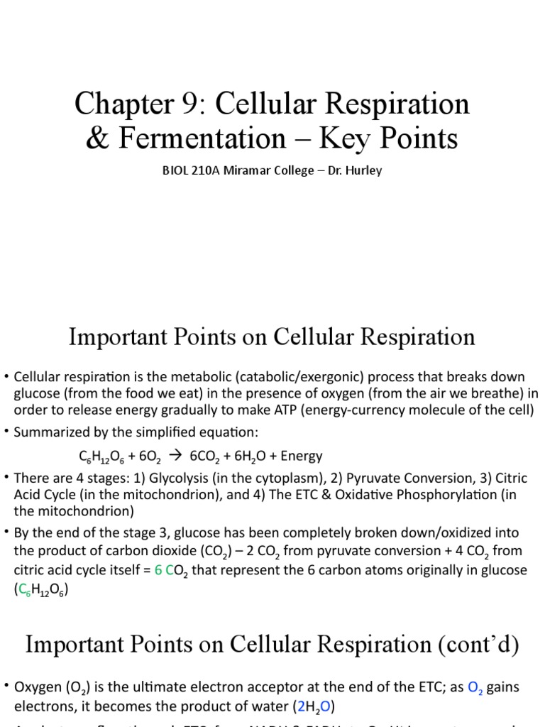 Cellular Respiration and Fermentation Overview | PDF | Cellular ...