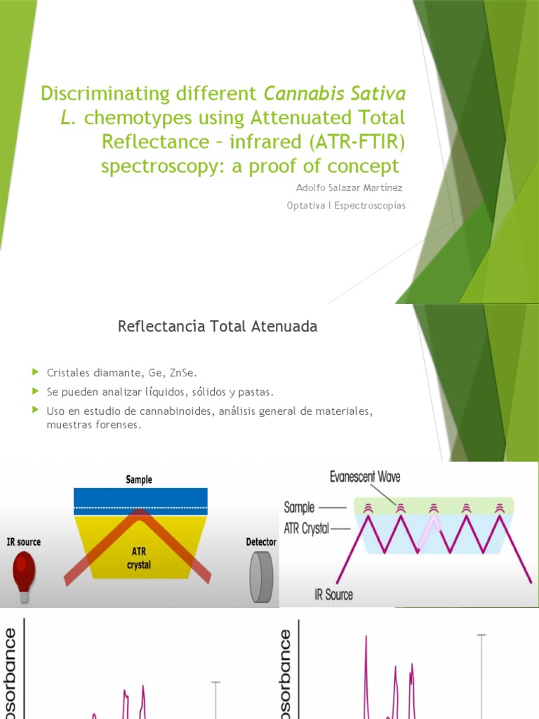 Discriminating Different Cannabis Sativa L. Chemotypes Using Attenuated Total Reflectance ...