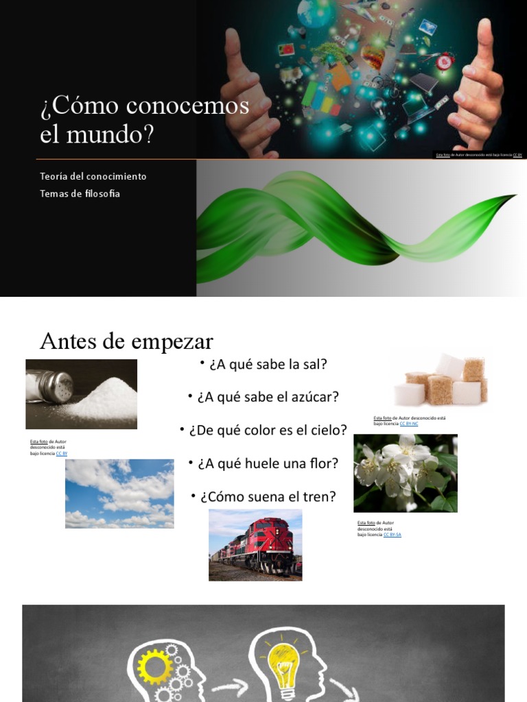 Cómo Conocemos El Mundo | PDF | Conocimiento | Empirismo