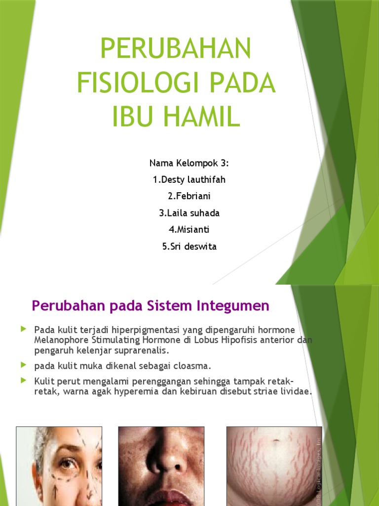 Perubahan Fisiologi Pada Ibu Hamil Klompok 3 | PDF