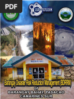 BDRRM Plan Template - Docx 2022 | PDF