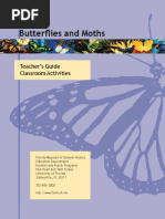 Classroom Butterfly Camouflage Activity | PDF | Camouflage | Mimicry