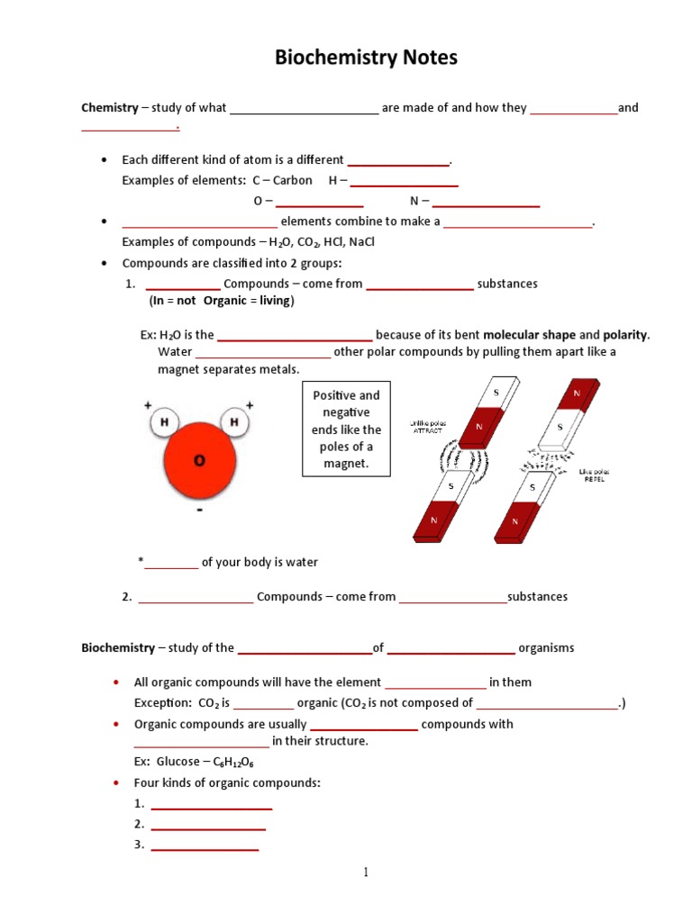 Biochemistry Basics and Organic Compounds | PDF | Chemistry | Biochemistry