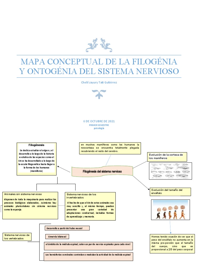 Filogénesis y Ontogénesis del SN | PDF | Sistema nervioso | Cerebro