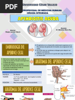 2 Obstruccion Intestinal Por Bridas y Adherencias | PDF | Medicina ...