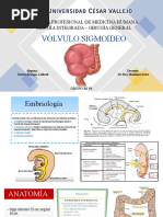 Obstrucción Intestinal por Bridas y Adherencias | PDF | Medicina ...