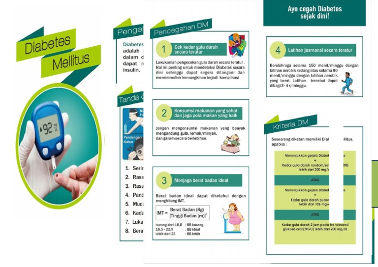 Pamflet Dm Dr Elsa Pdf