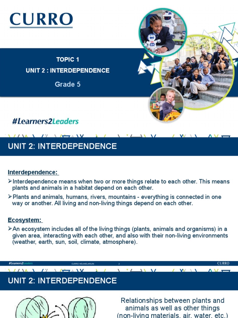 Grade 5: Topic 1 Unit 2: Interdependence | PDF | Flowers | Pollination