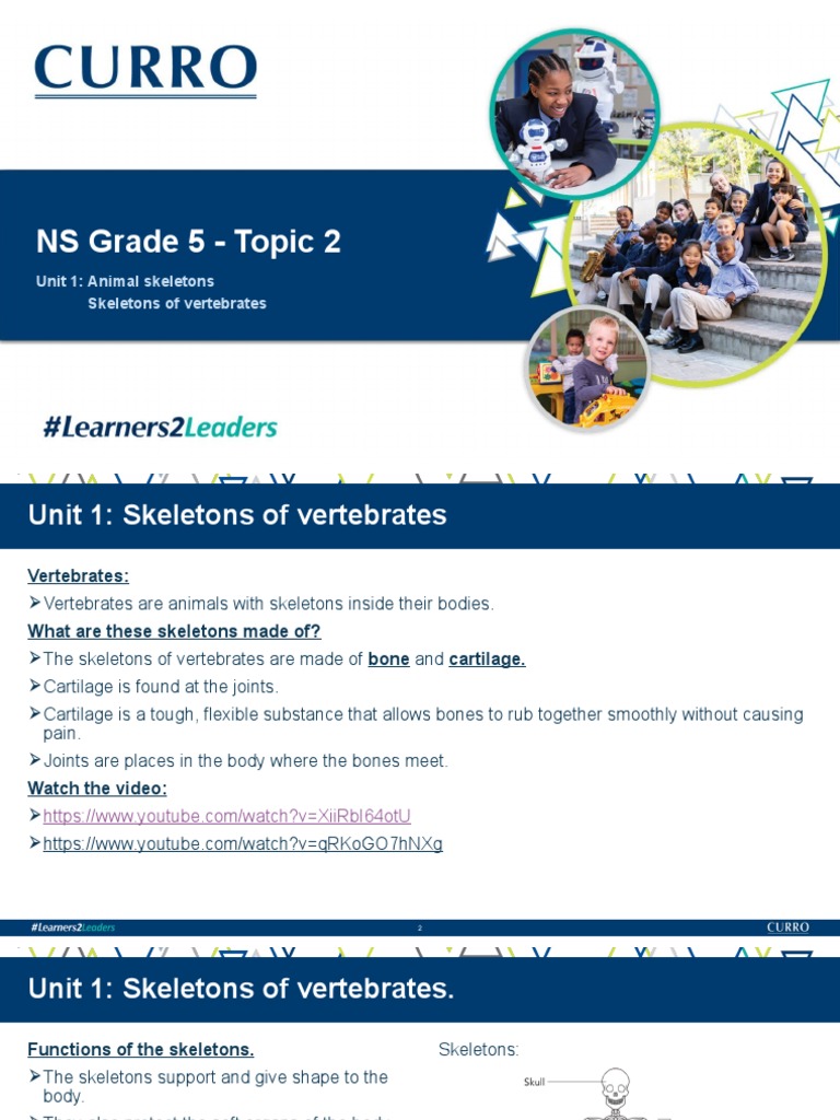 NS Grade 5 - Topic 2: Unit 1: Animal Skeletons Skeletons of Vertebrates ...