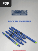 RTTS Packer: Technical Data Sheet | PDF | Pipe (Fluid Conveyance) | Valve