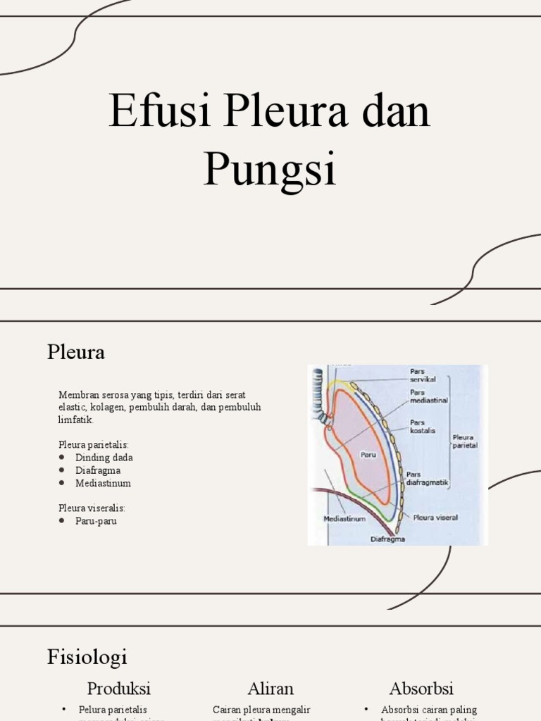 Efusi Pleura Dan Pungsi | PDF