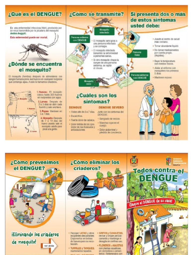Tripticos Dengue | PDF