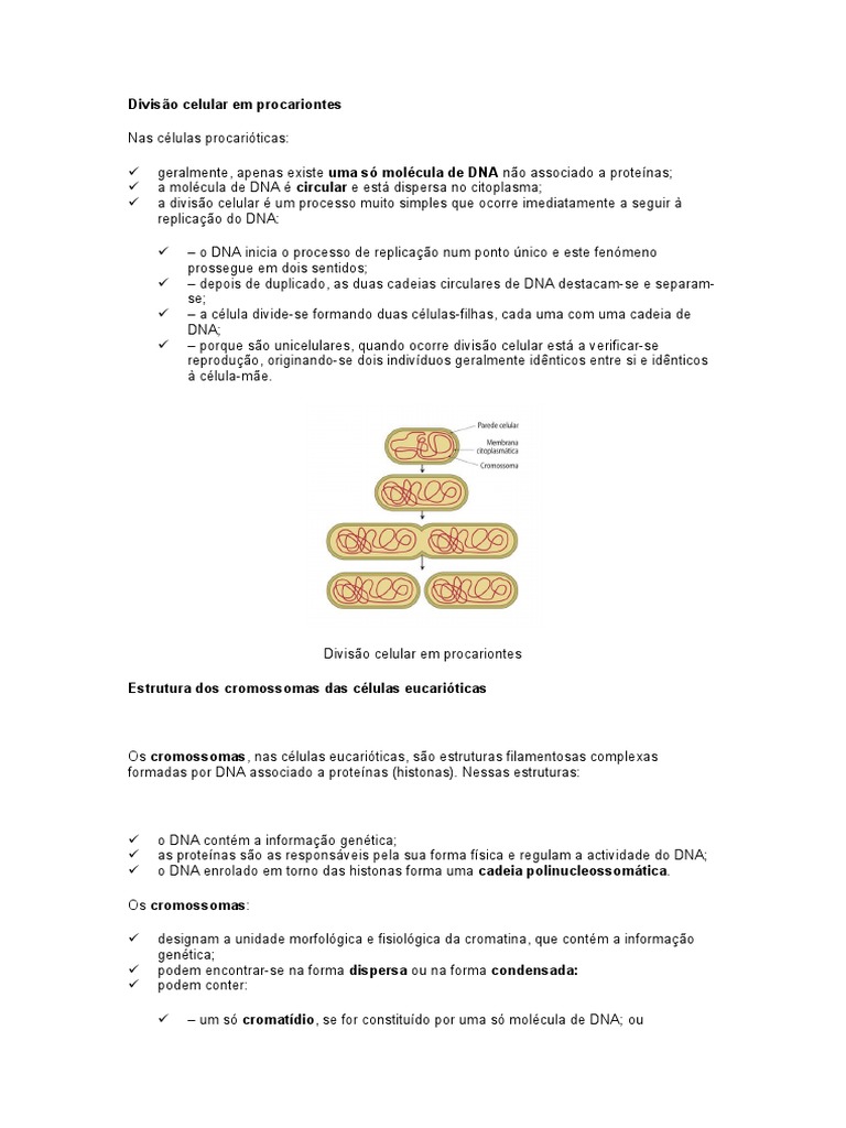 Ap 5 Ciclo Celular Variação Do Teor De Dna Durante O Ciclo Celular